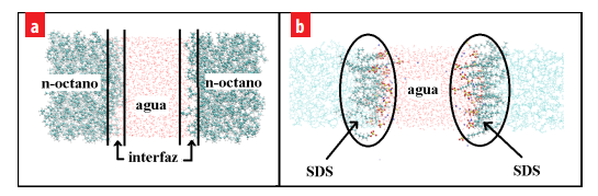 Distribución del 1-butanol y 2-butanol en los sistemas agua/n-octano y ...